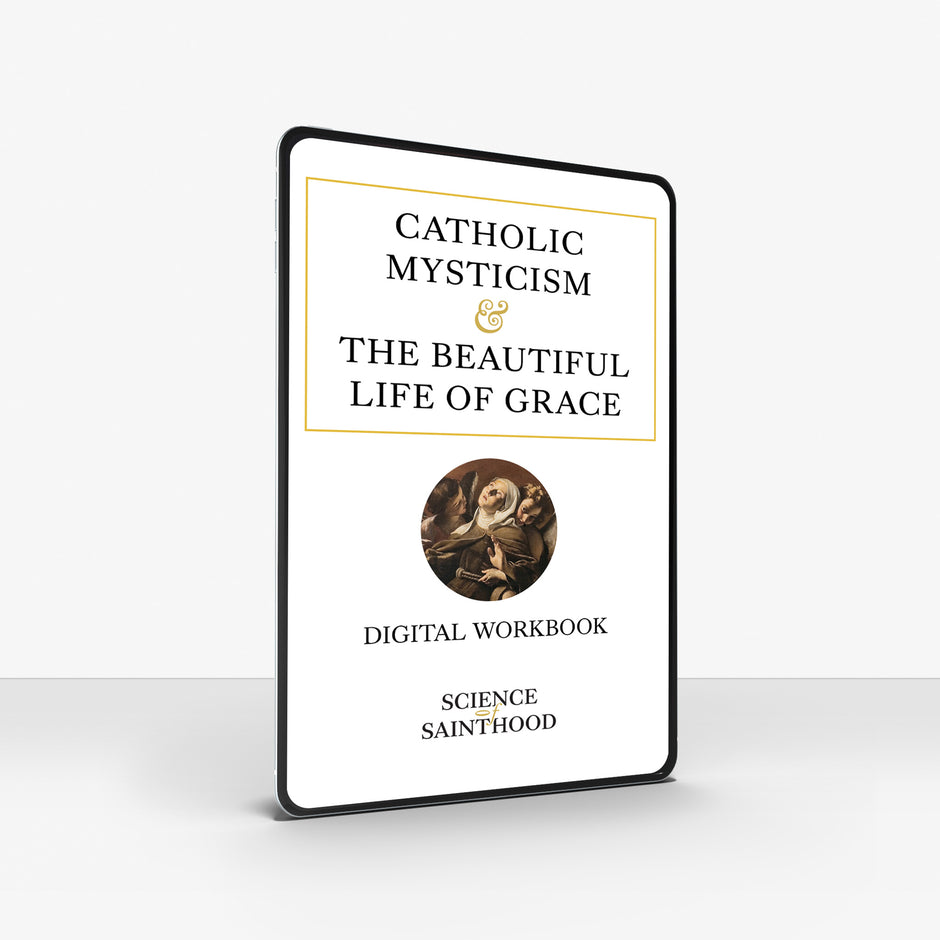 Workbooks and Leader Guides – Science of Sainthood